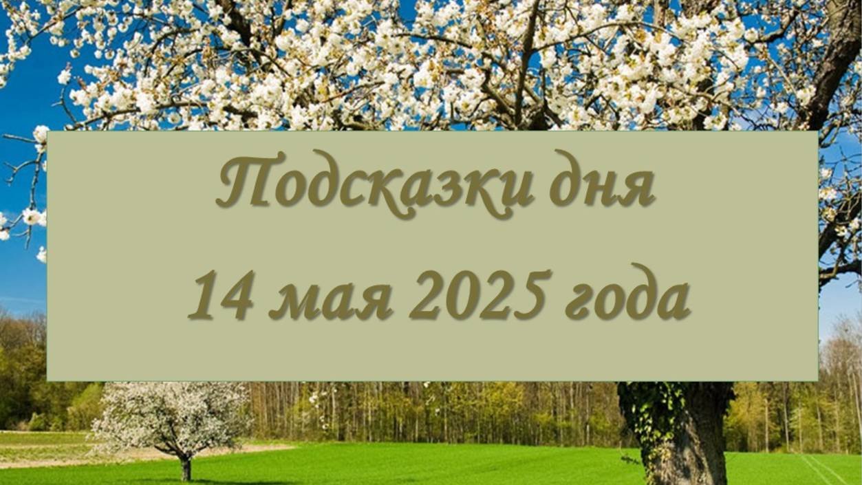 Гороскоп на 14 мая 2025 года (общий, по показателям дня)