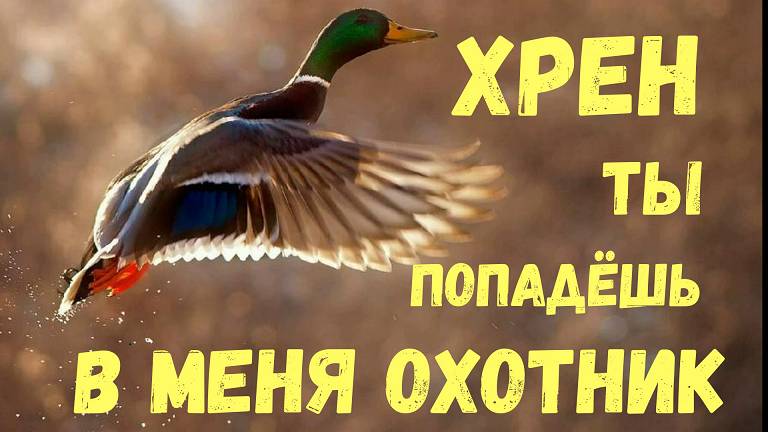 ОТКРЫТИЕ весенней охоты на таёжных лывах!!!