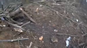 ДОЖИВЁМ!