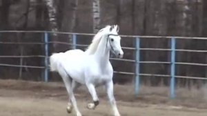 Новости Татарстана от 06/05/25 - ТНВ