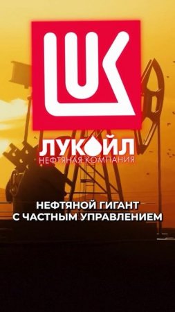 Какие акции стоит держать вечно