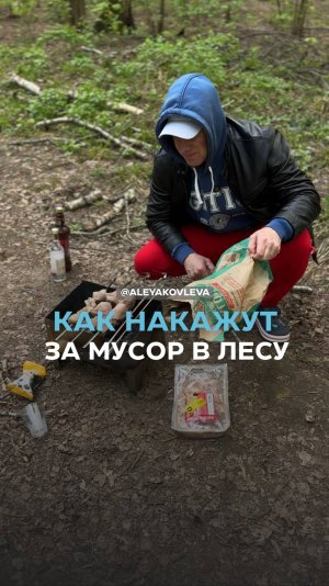 Как вас могут наказать за оставленный в лесу мусор?
