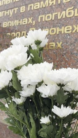 Ректор ВГТУ, сотрудники и студенты вуза приняли участие в торжественной церемонии возложения венков