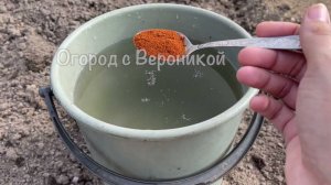 🌾 1 ЛОЖКА НА ВЕДРО ВОДЫ И ПОЧВА КАК НОВАЯ! ВСЕ РАСТЕНИЯ ПОЙДУТ В РОСТ! 🌱