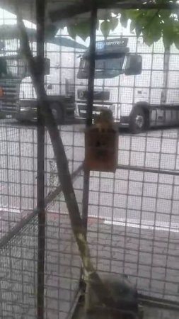 Водитель хвастался как классно он ездит задом фамилия