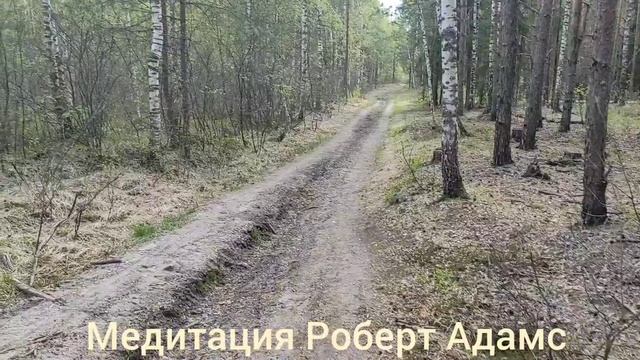 Медитация Роберт Адамс