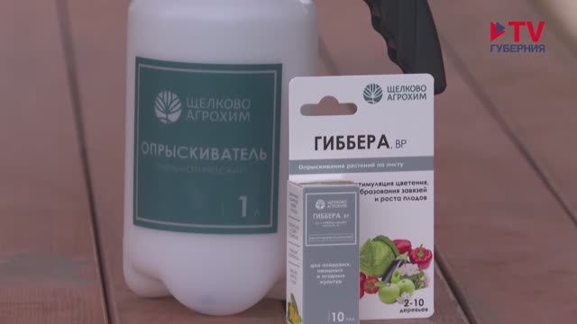 Как повлиять на урожайность культуры?