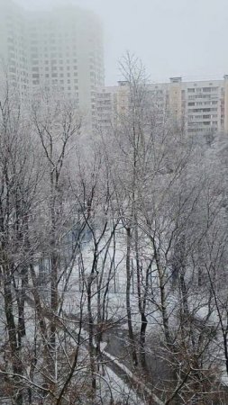 снег Москва 01.04.23 шутка/snow Moscow 01.04.23 jokes of nature #shorts #spring2023 #snow #jokes