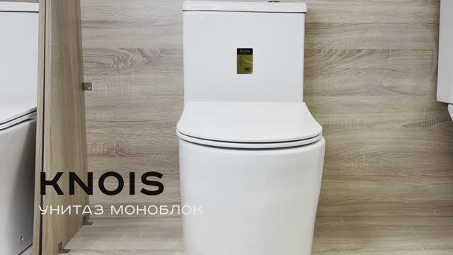 Унитаз моноблок напольный Knois KN6820000