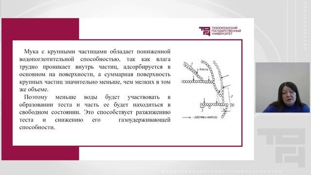 Хлебопекарные свойства пшеничной муки Ч4 | Лектор - Любимова Ольга Ивановна