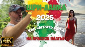 Сказочная Шри-ланка, интересно, красиво и ОПАСНО!