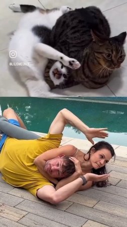 100% схожесть 😎