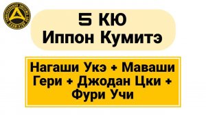 5 Кю Иппон Кумитэ: Нагаши Укэ + Маваши Гери + Джодан Цки + Фури Учи