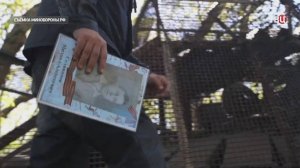 Россия прекратила боевые действия в зоне СВО / События на ТВЦ