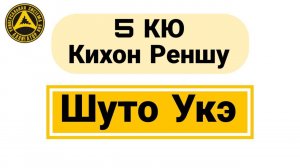 5 Кю Кихон Реншу: Шуто Укэ