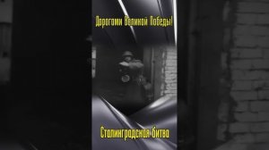 Сталинград