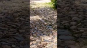 💥👍💯Приезд в Плёс Ивановская обл. К друзьям подпищи?