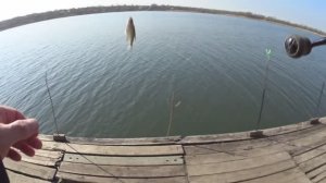 ТРИ ХВОСТА ТОЖЕ РЕЗУЛЬТАТ!!РЫБАЛКА НА СУЛИНСКОМ ВОДОХРАНИЛИЩЕ!!ЛОВИМ ПОДЛЕЩИКА!!