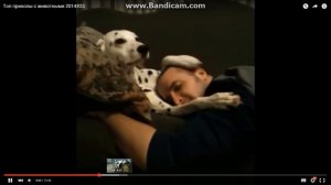 Самые прикольные и смешные приколы)))(#1)