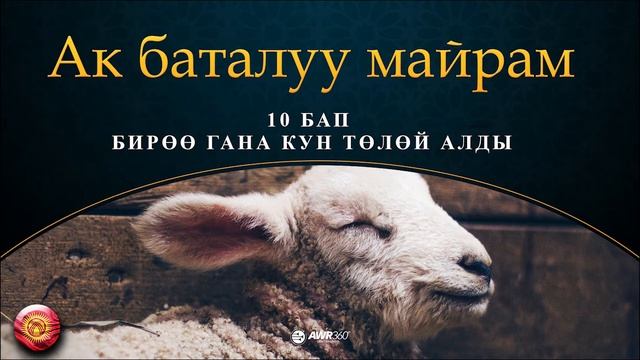 БИРӨӨ ГАНА КУН ТӨЛӨЙ АЛДЫ  10-бөлүм  АК БАТАЛУУ МАЙРАМ  АУДИОКИТЕП🔉