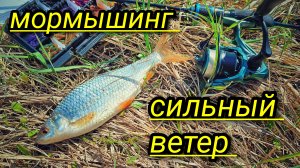 МОРМЫШИНГ В СИЛЬНЫЙ ВЕТЕР !!! ТОЛЬКО ЭТА ПРИМАНКА СПАСЛА РЫБАЛКУ !!!