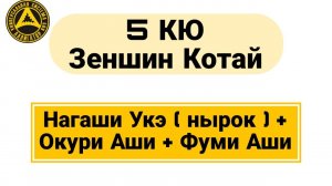 5 Кю Зеншин Котай: Нагаши Укэ (нырок) Окури Аши + Фуми Аши