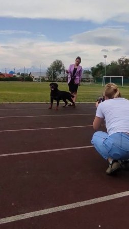 выставка собак Алматы
