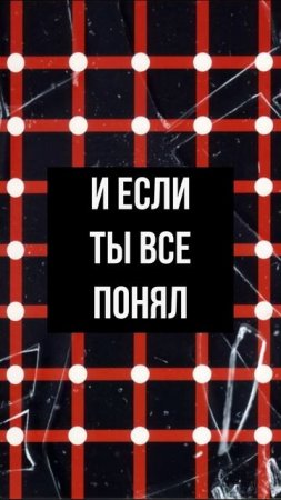 Кошачий чих