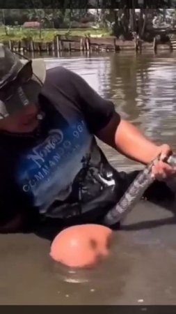 На живца🤪
