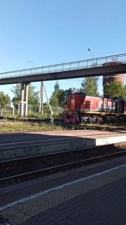 ТЭМ2-5950 резервом через Псков#ржд#поезда#железнаядорог?