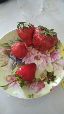 лето только началось а у нас уже дома есть 🍓! #клубник?