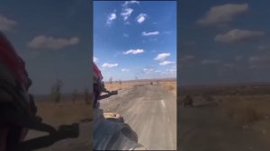 друзья