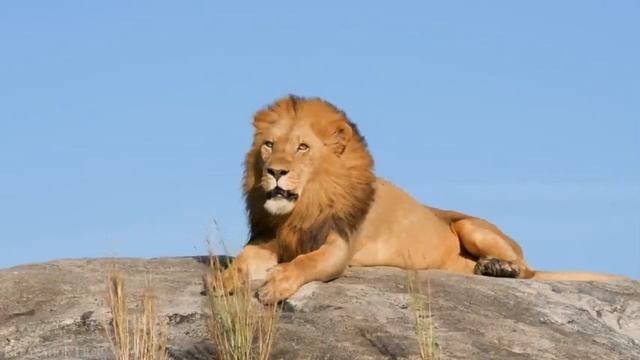 "Сегодня Бог проснулся"