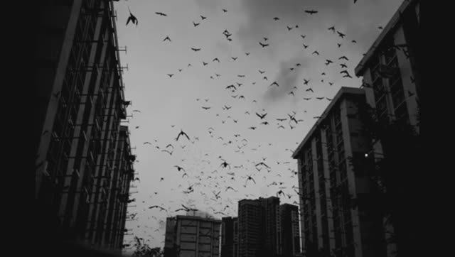 "Повседневные истории"