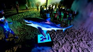TRALALERO TRALALA (Shark in blue sneakers)