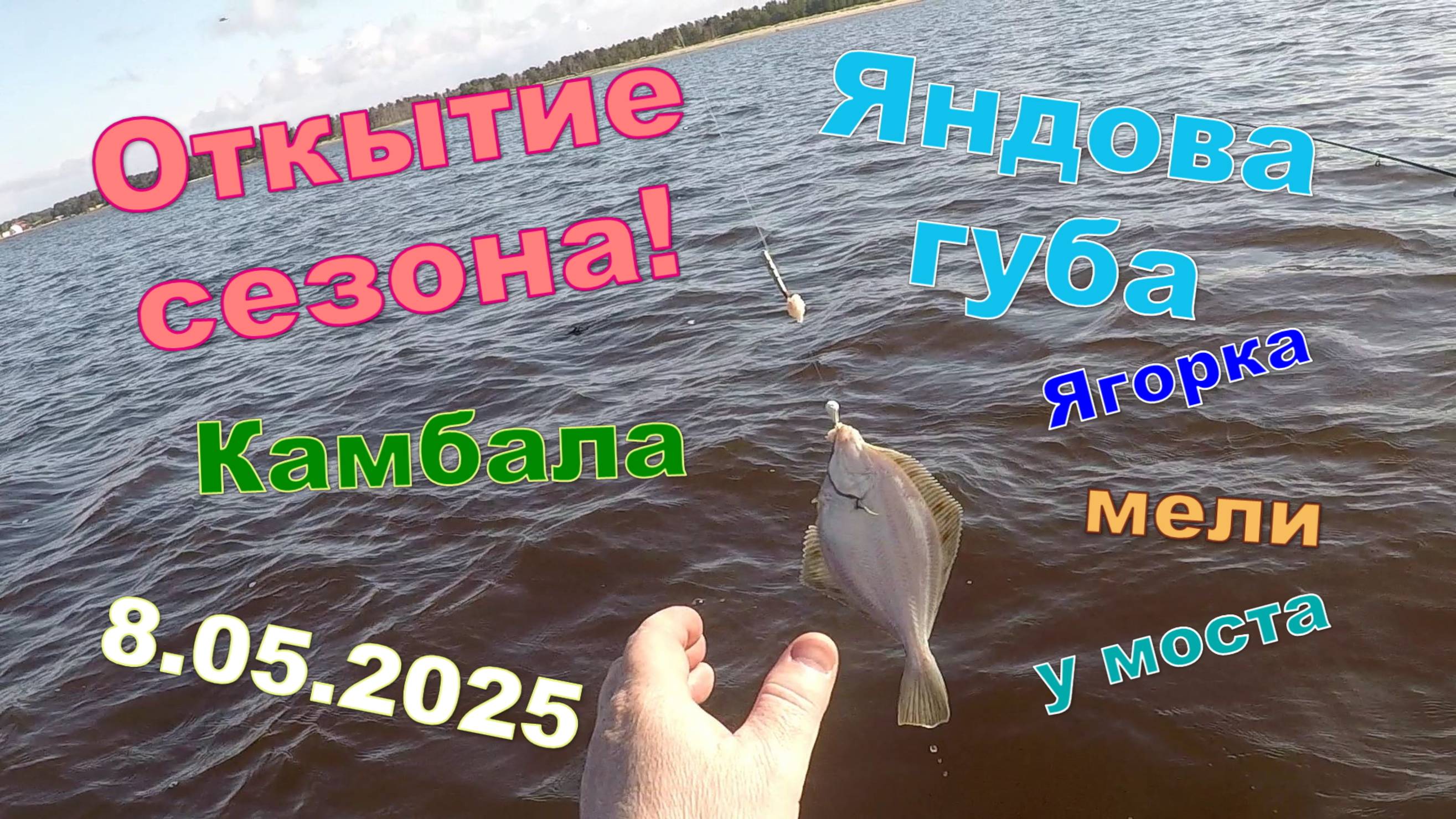 Камбала. Яндова губа 8.05.2025. Открытие сезона. Летняя морская рыбалка.