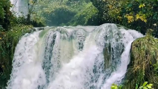 "Семейный альбом"5