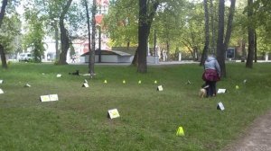 Ралли трен Клёпа1 09.05.2025