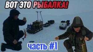 ЛУЧШАЯ РЫБАЛКА сезона. СТОЛЬКО Гольца и Кумжи я еще НЕ ЛОВИЛ. Часть 1.