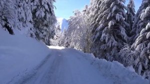 Истории из жизни. После смерти матери сын нашёл детско