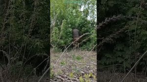 Разведчик старший лейтенант Дроняткин вышел на очередное спецзадание 🎖️🍀👍🌳🎗️💖😄