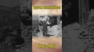 "Дорогами Великой Победы" / Битва за Кавказ