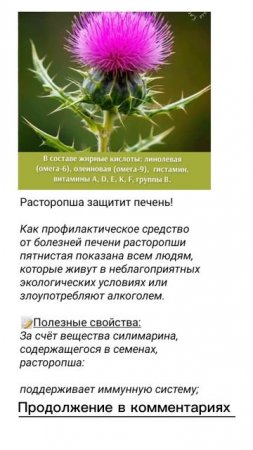 Если болит Печень...