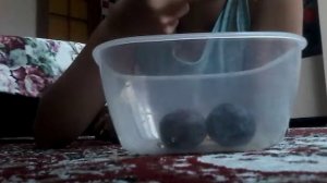 Какже приятно кушать любимые сливы