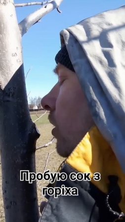 Пробую який на смак горіховий сік. #сік #горіх #сок #бер?