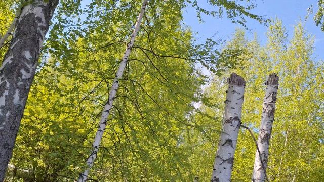 «я спугнул чью то смерть» фильмы, ужасы, кино, фильм, смотреть онлайн, лучшие фильмы, новинки кино,