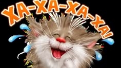 Шутка
