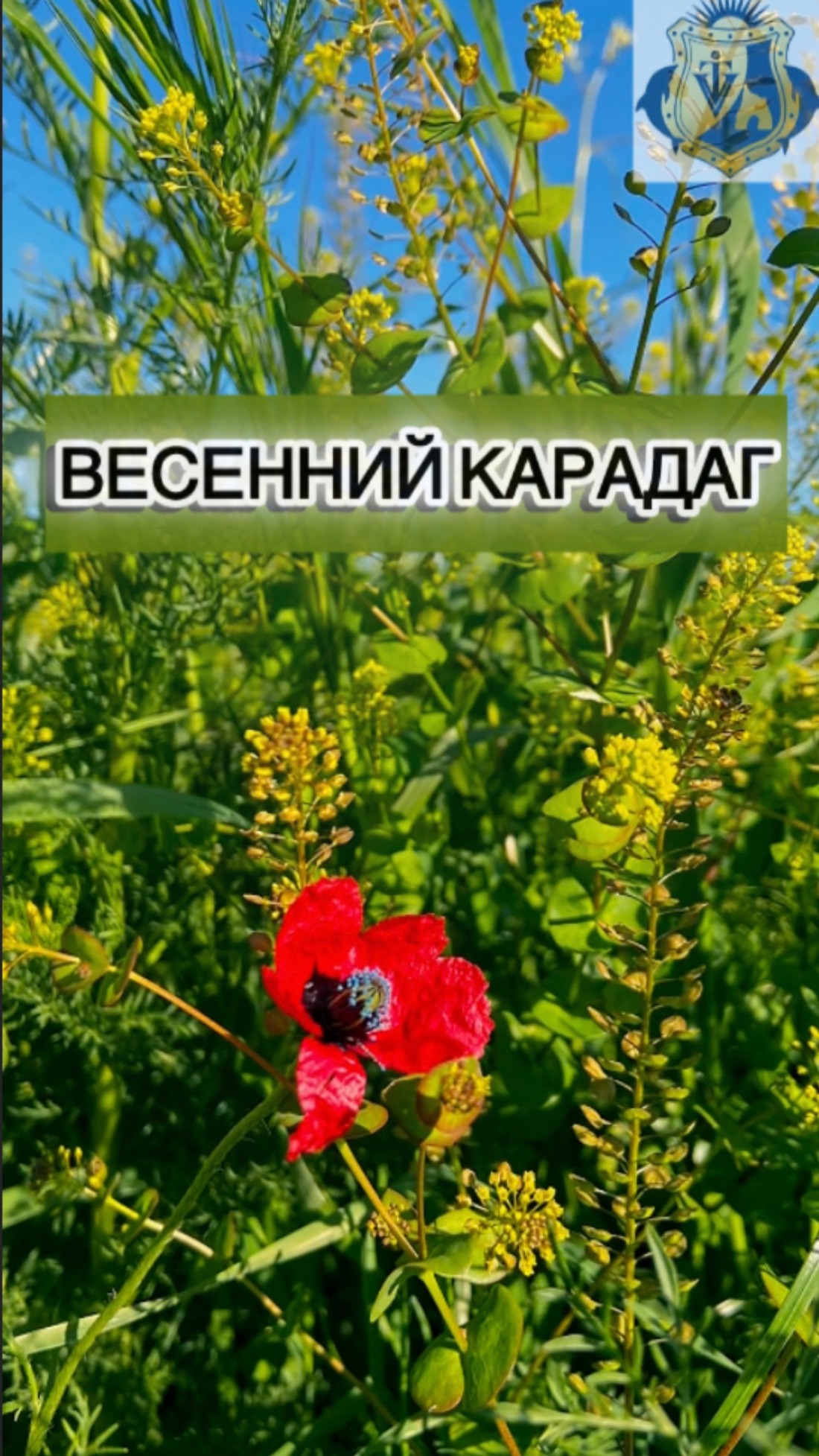 Карадаг весной май