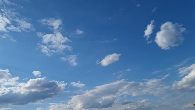 *СУЩЕСТВО В ПОЛЕ* фильмы, ужасы, кино, фильм, смотреть онлайн, лучшие фильмы, новинки кино, зарубежн