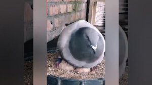 жизнь как есть